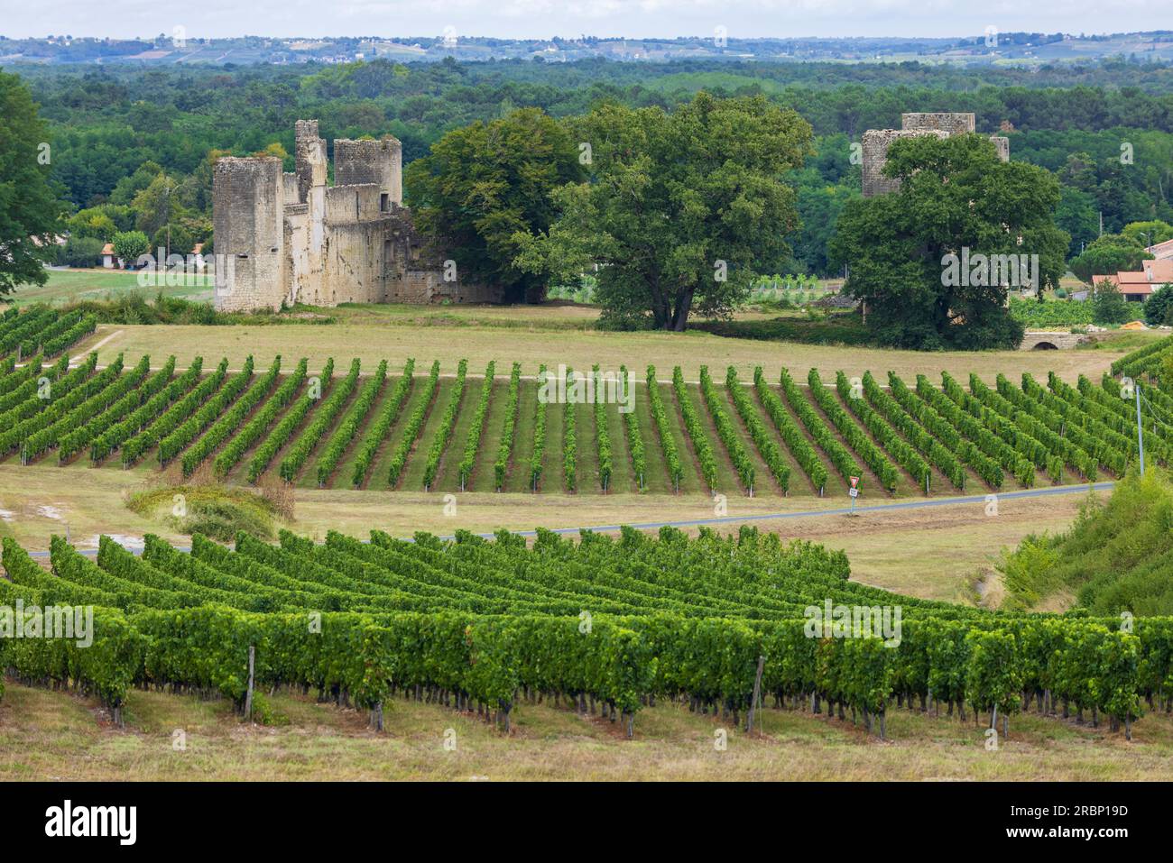 Budos castle (Chateau de Budos) in Sauternes wine region, Gironde ...