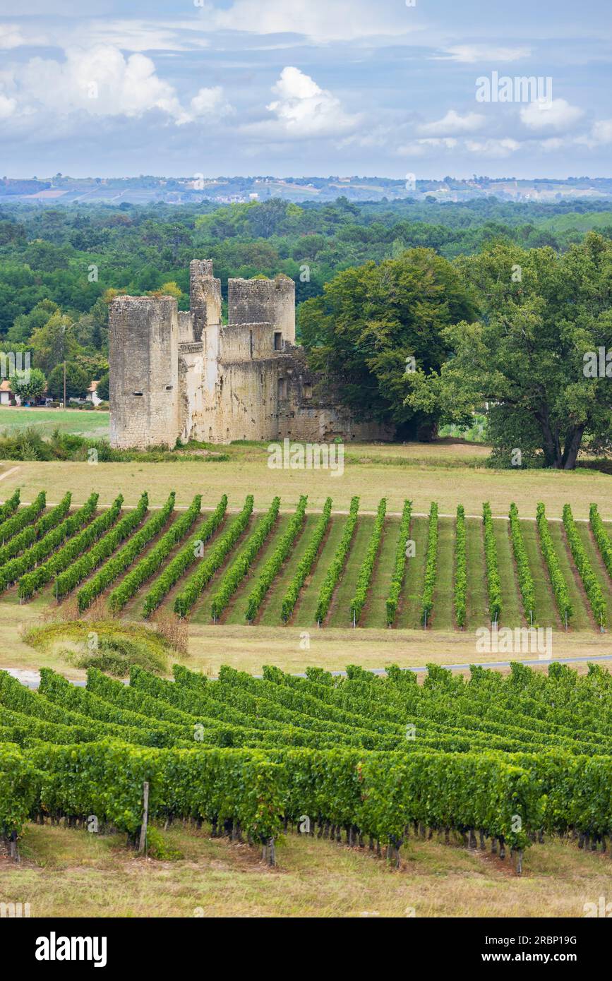 Budos castle (Chateau de Budos) in Sauternes wine region, Gironde ...