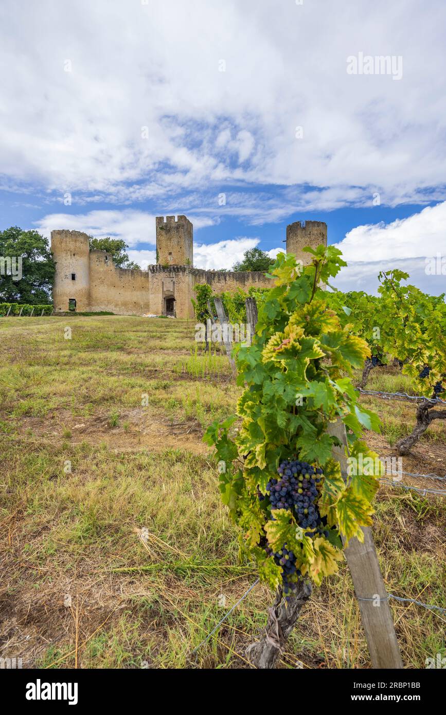 Budos castle (Chateau de Budos) in Sauternes wine region, Gironde ...