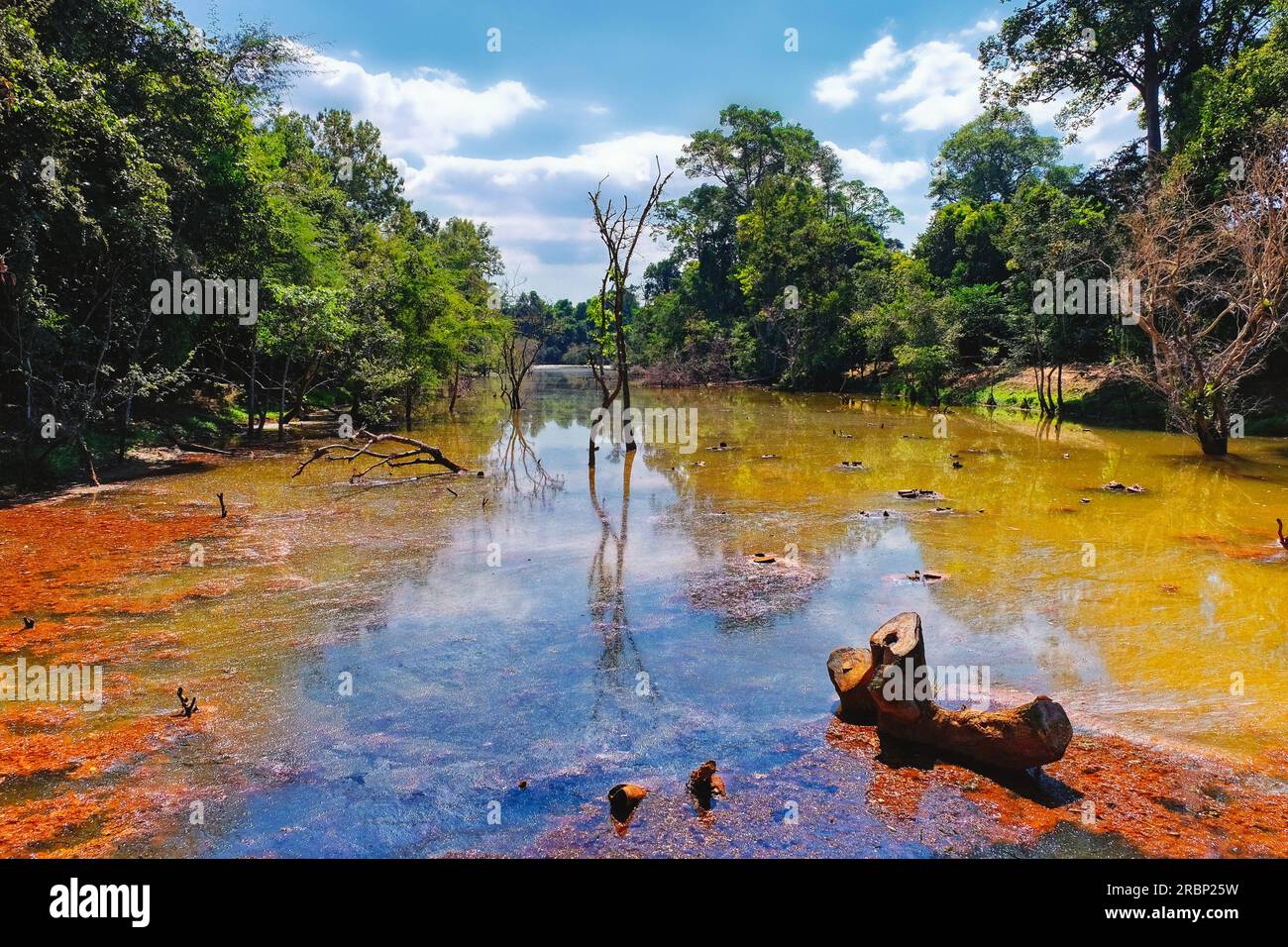 Asia landscape hi-res stock photography and images - Alamy