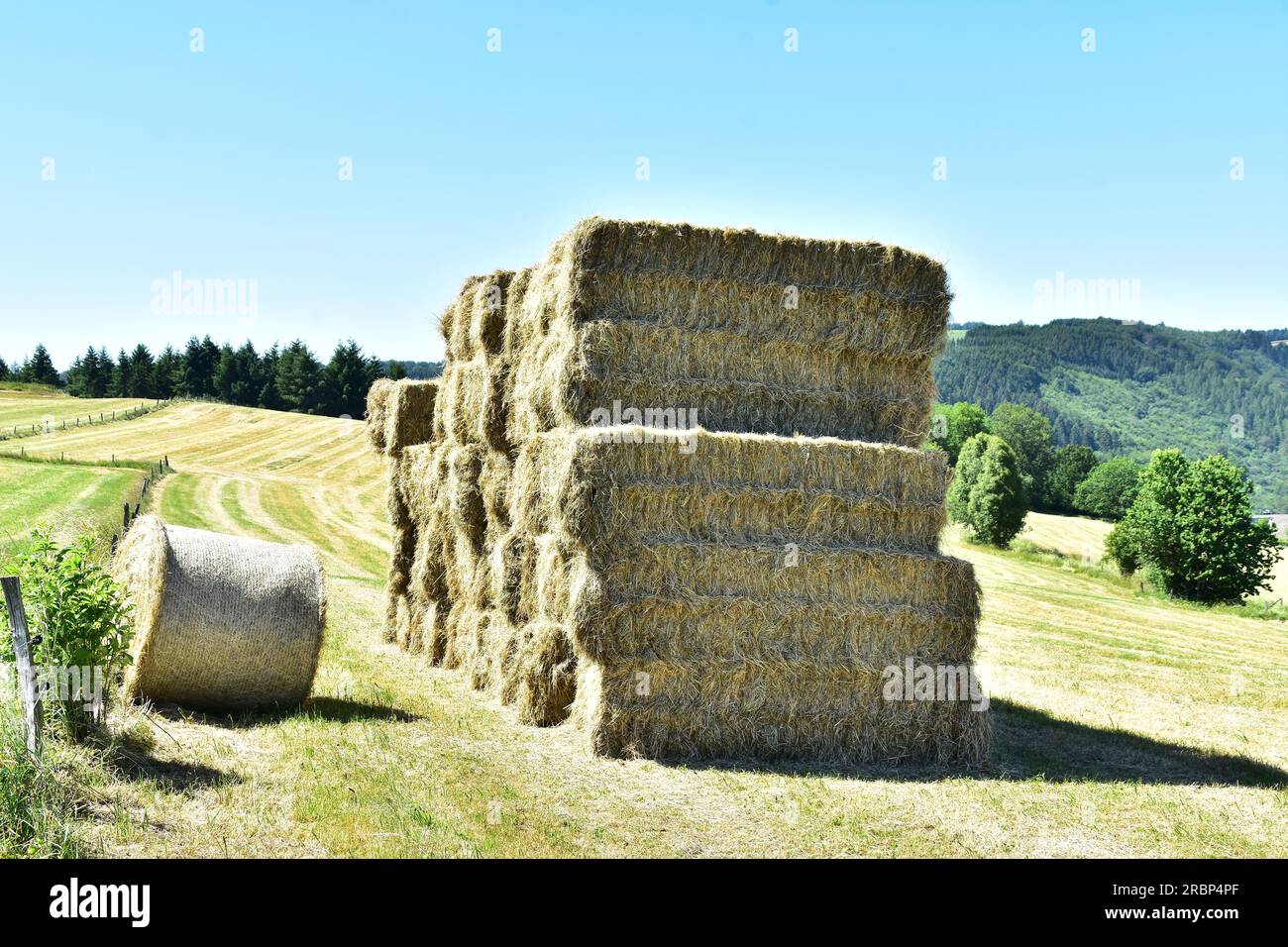 Heuernte hay harvest hi-res stock photography and images - Alamy