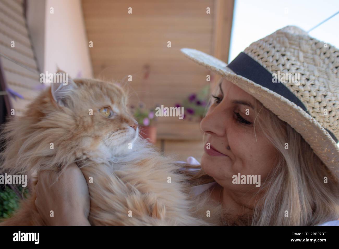 Fluffy kitty hi-res stock photography and images - Alamy