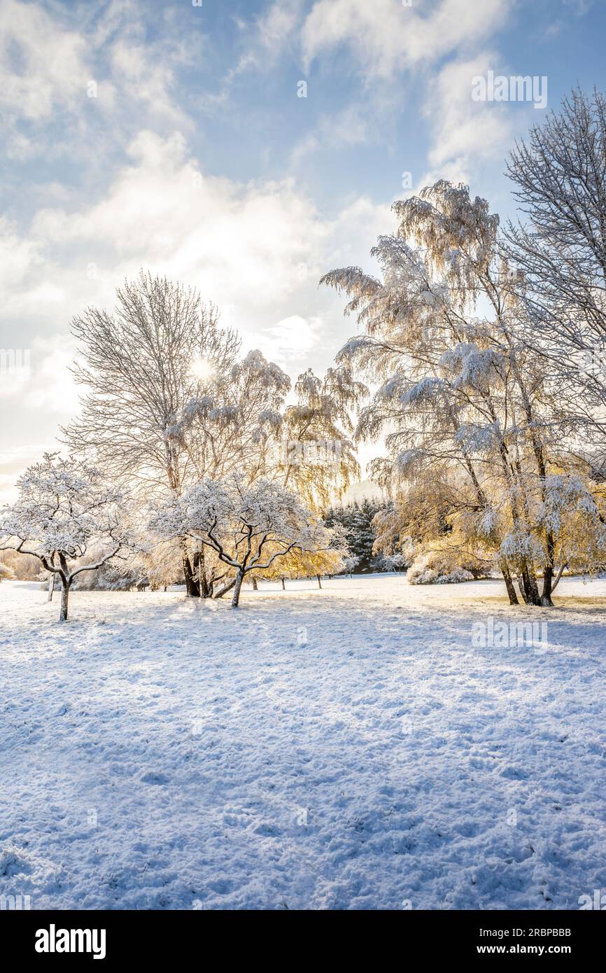 Late snow in April in the Rheingau-Taunus Nature Park above Engenhahn ...