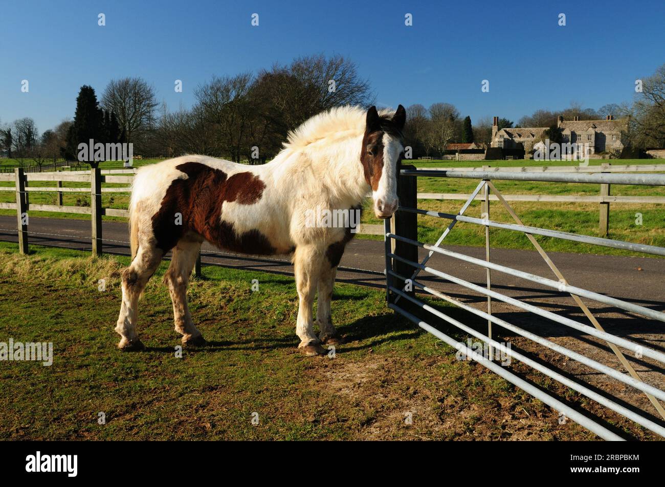 A horse at a paddock gate overlooking Upham Court at Upper Upham ...