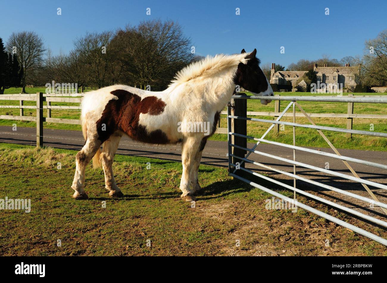 A horse at a paddock gate overlooking Upham Court at Upper Upham ...