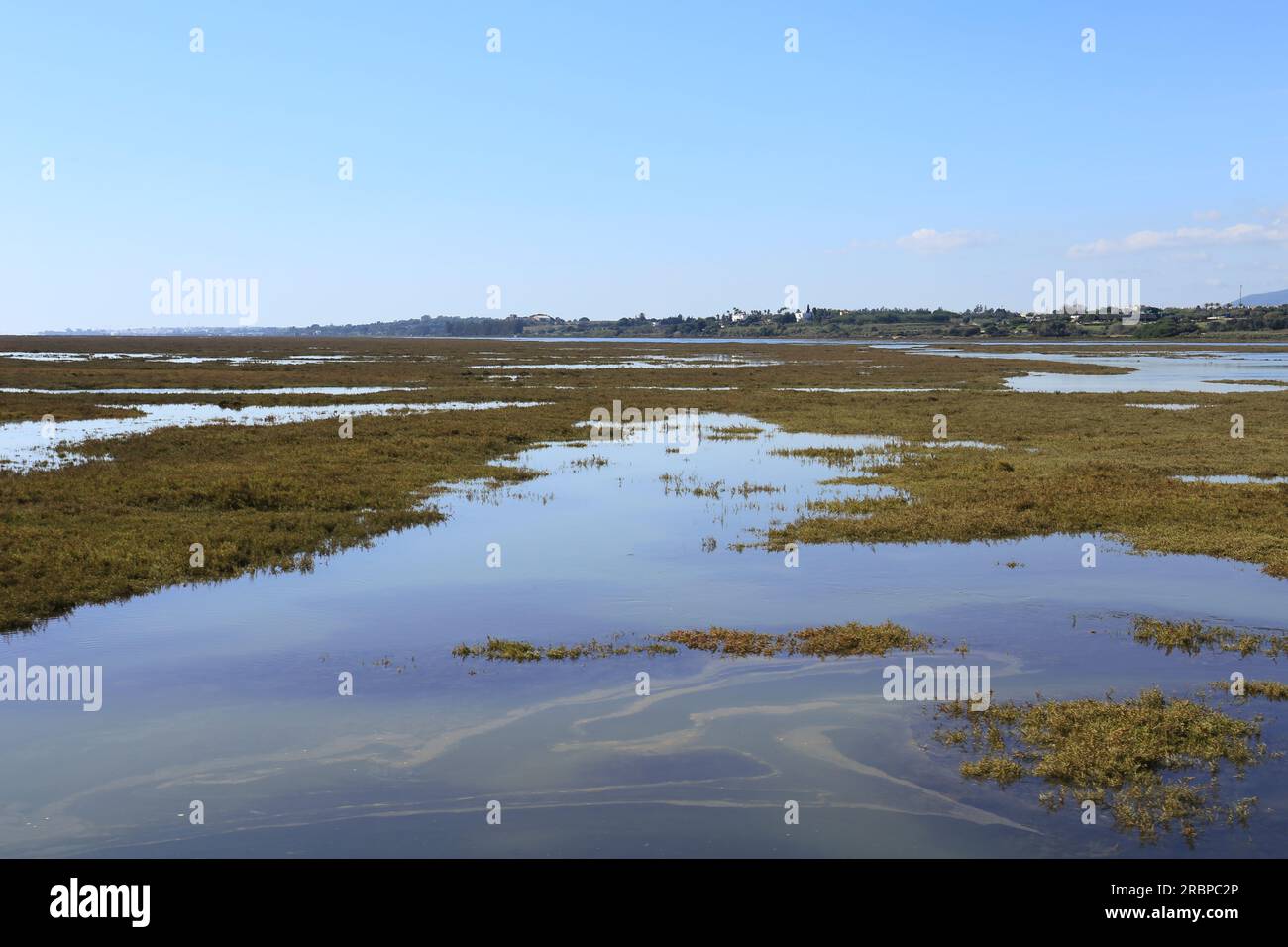 The swamp and wetlands next to Barril Beach in Tavira, Portugal Stock ...
