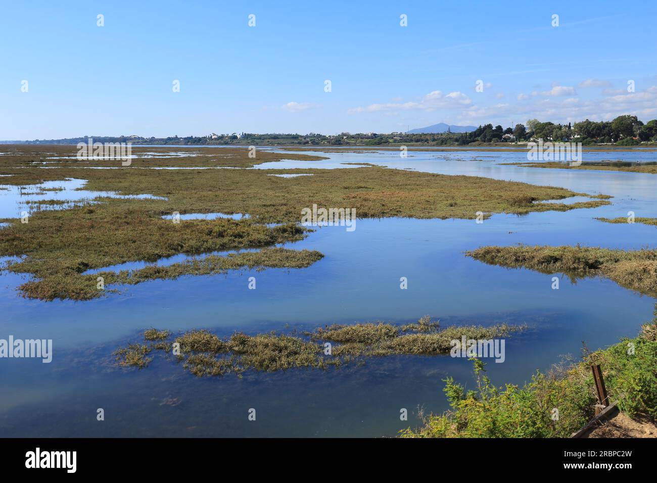 The swamp and wetlands next to Barril Beach in Tavira, Portugal Stock ...