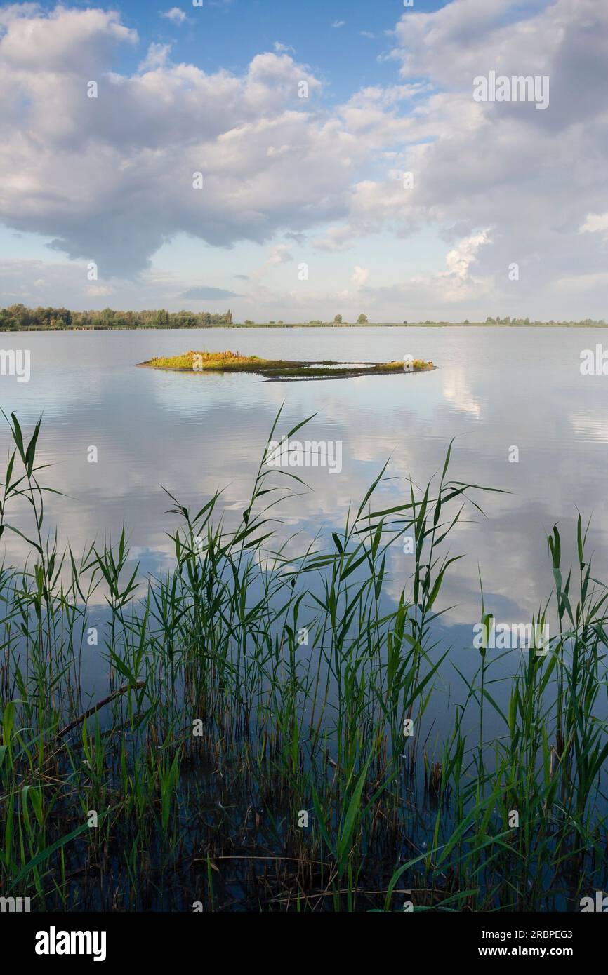 Waterplas hi-res stock photography and images - Alamy