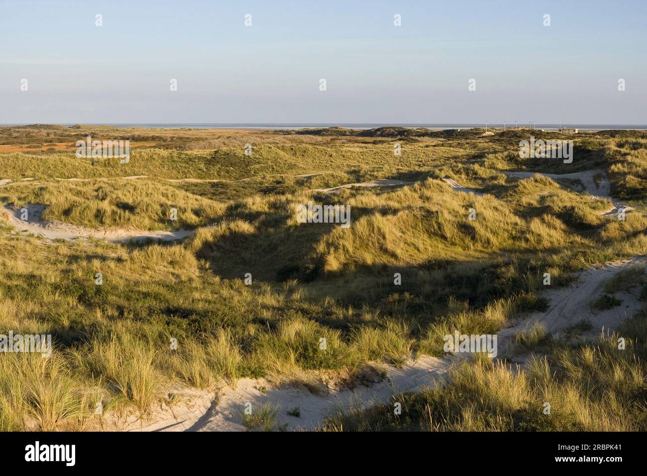 De duinen hi-res stock photography and images - Alamy