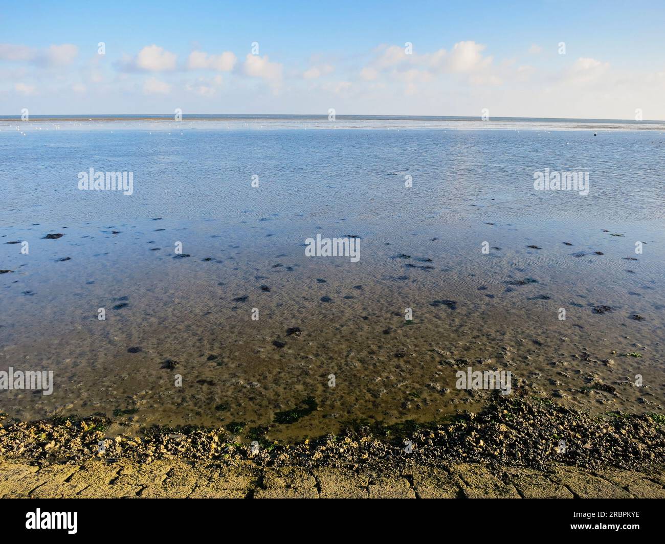 Dike waddenzee hi-res stock photography and images - Alamy