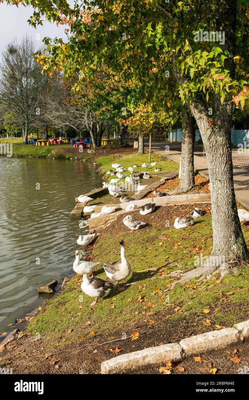 Lago sao bernardo hi-res stock photography and images - Alamy