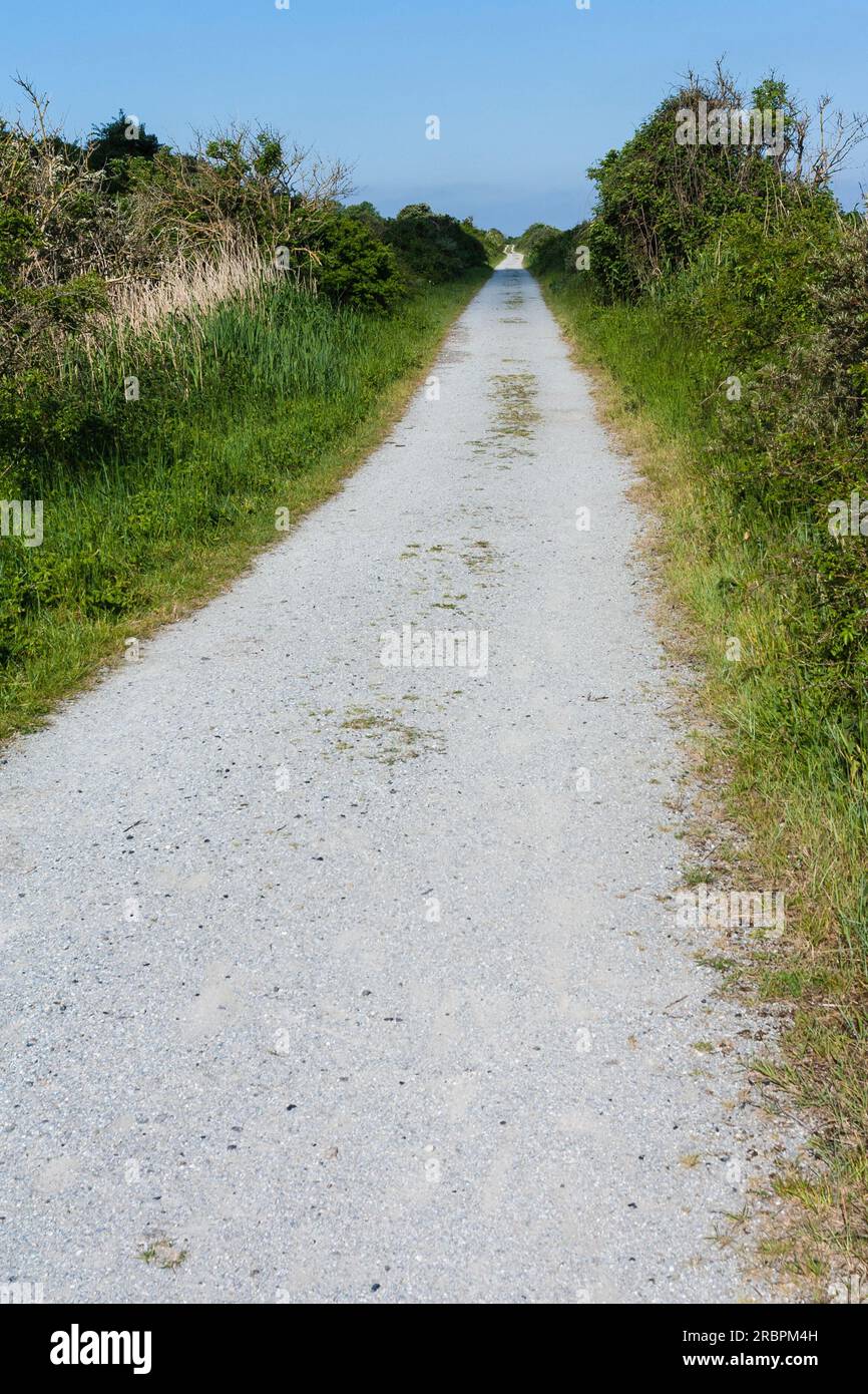 Shell path at Kwade Hoek in spring Stock Photo - Alamy