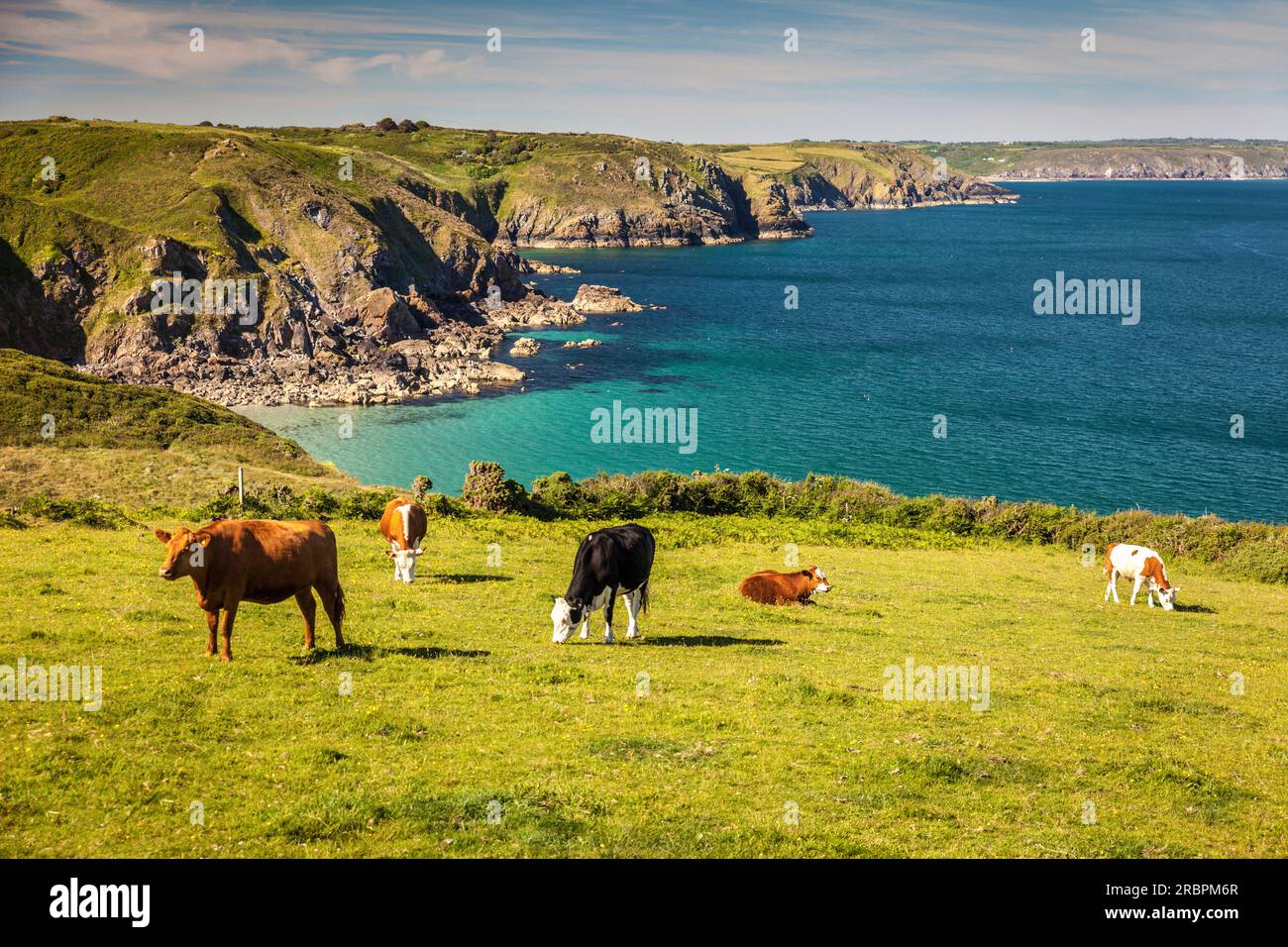Housel Bay, Lizard Peninsula, Cornwall, England Stock Photo - Alamy