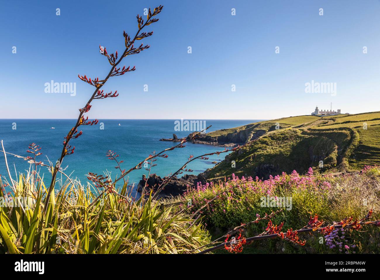 Housel Bay, Lizard Peninsula, Cornwall, England Stock Photo - Alamy