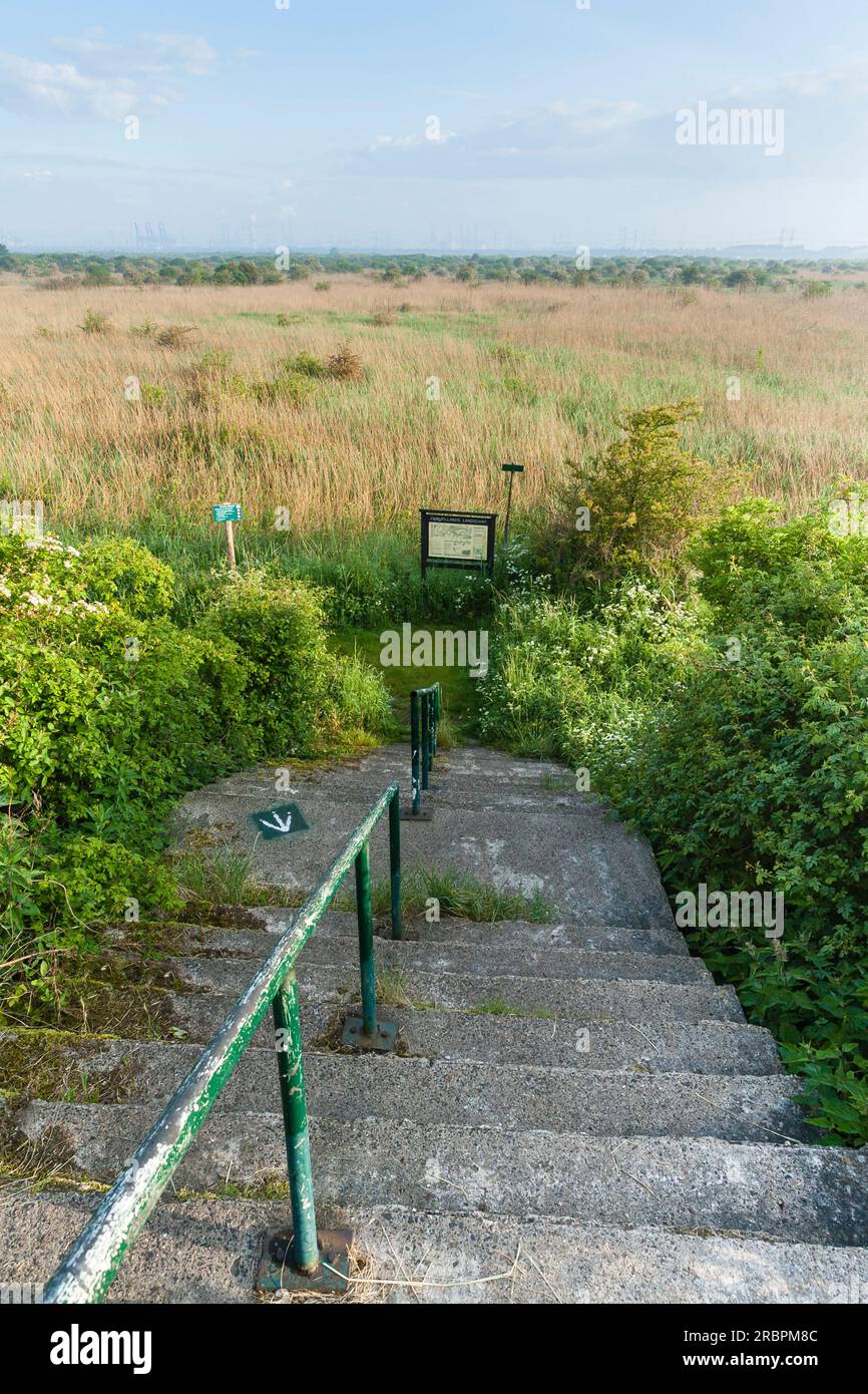 Viewpoint at Groene Strand in spring with stairs in foreground Stock ...