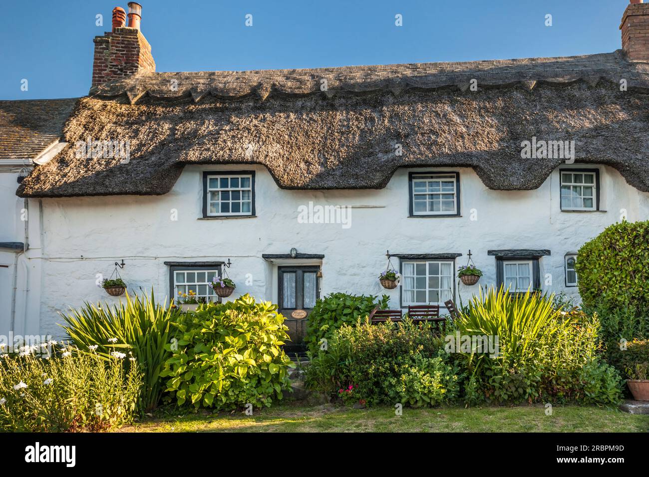Farmhouse roof in cornwall hi-res stock photography and images - Alamy