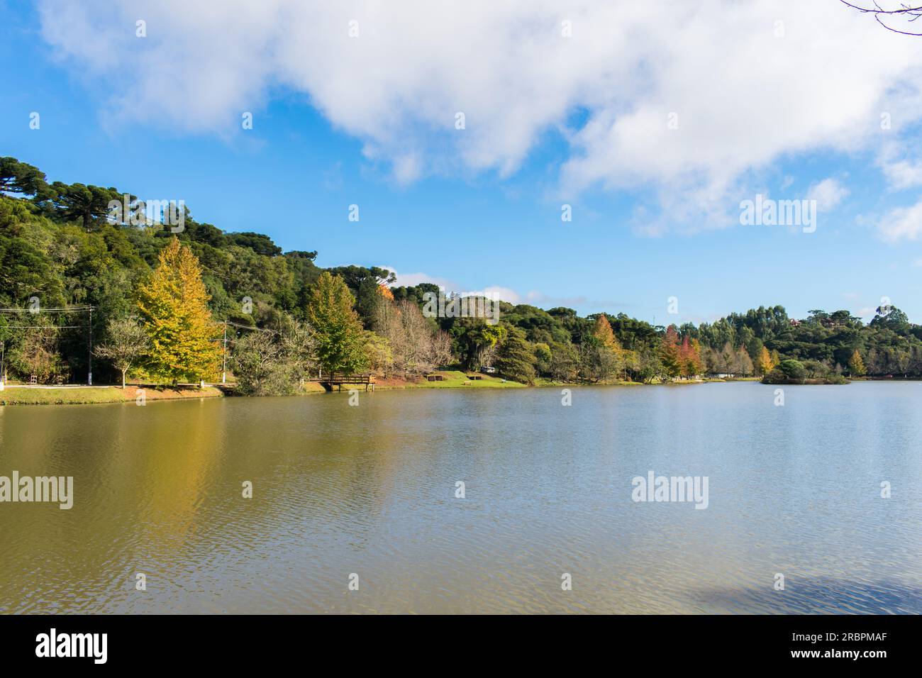 A view of Sao Bernardo Lake at the beginning of winter - popular ...