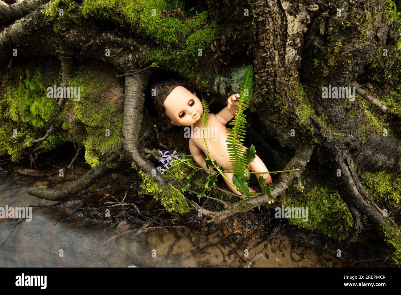 Nordic Noir doll series, moody still-life of female doll trapped in ...