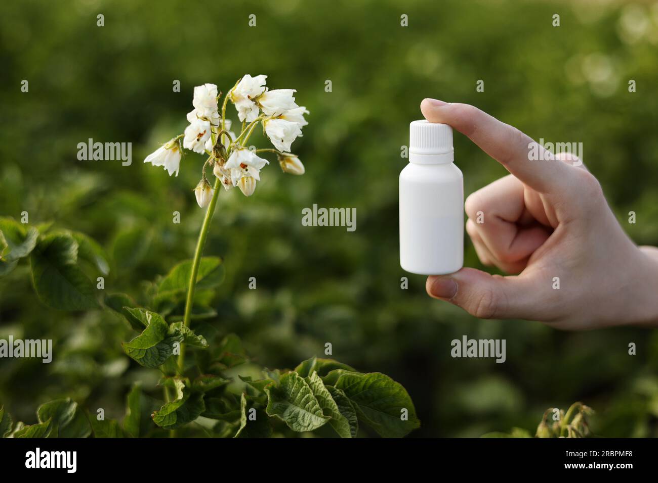 Garden season problems and solution. Cropped photo hand of farmer holds ...