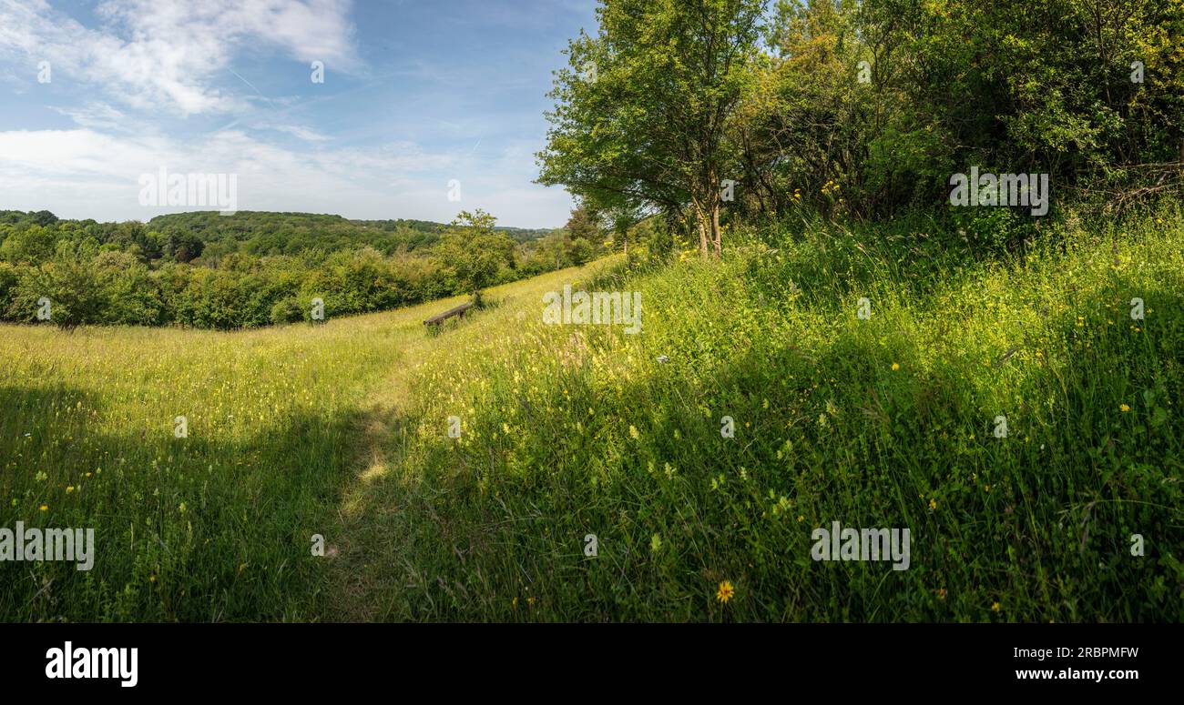 Environmentally important open space landscape in the Surrey Hills Area ...