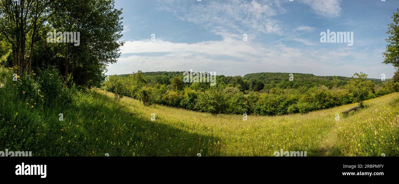 Environmentally important open space landscape in the Surrey Hills Area ...