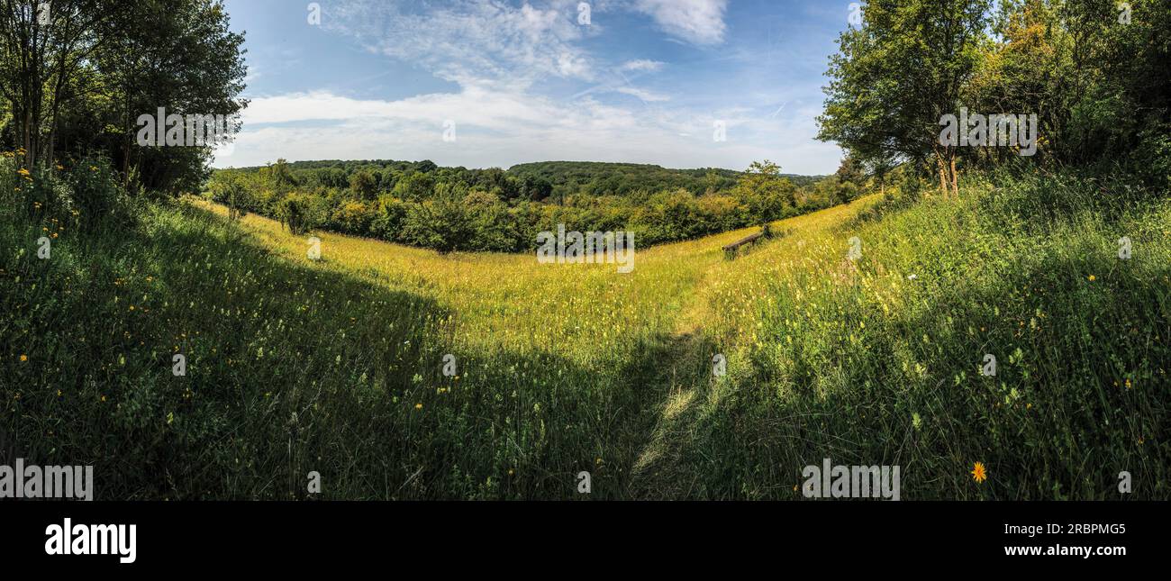 Environmentally important open space landscape in the Surrey Hills Area ...