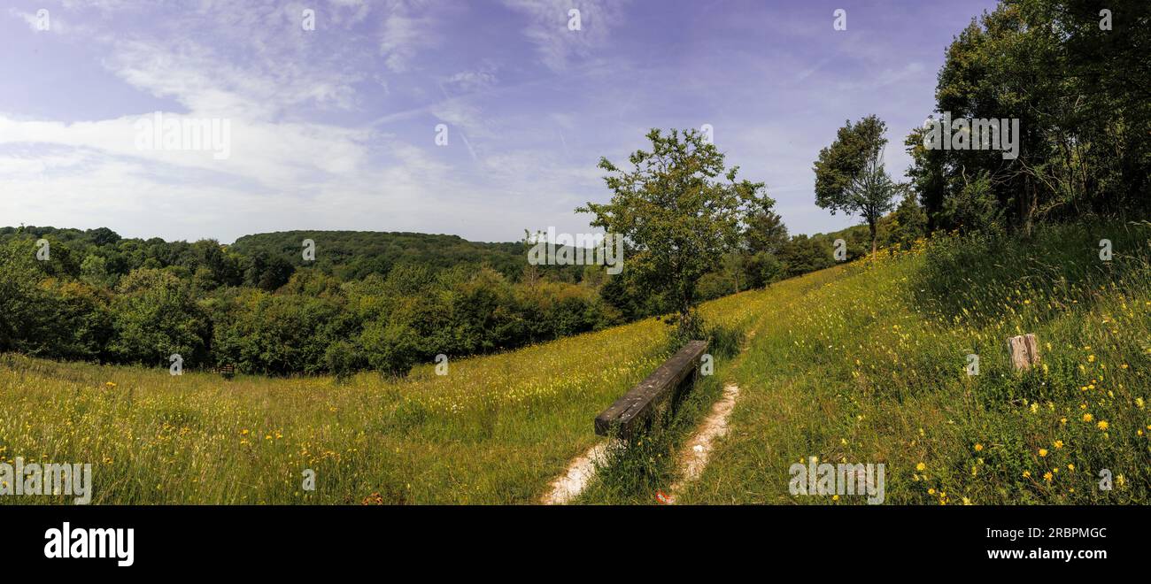 Environmentally important open space landscape in the Surrey Hills Area ...