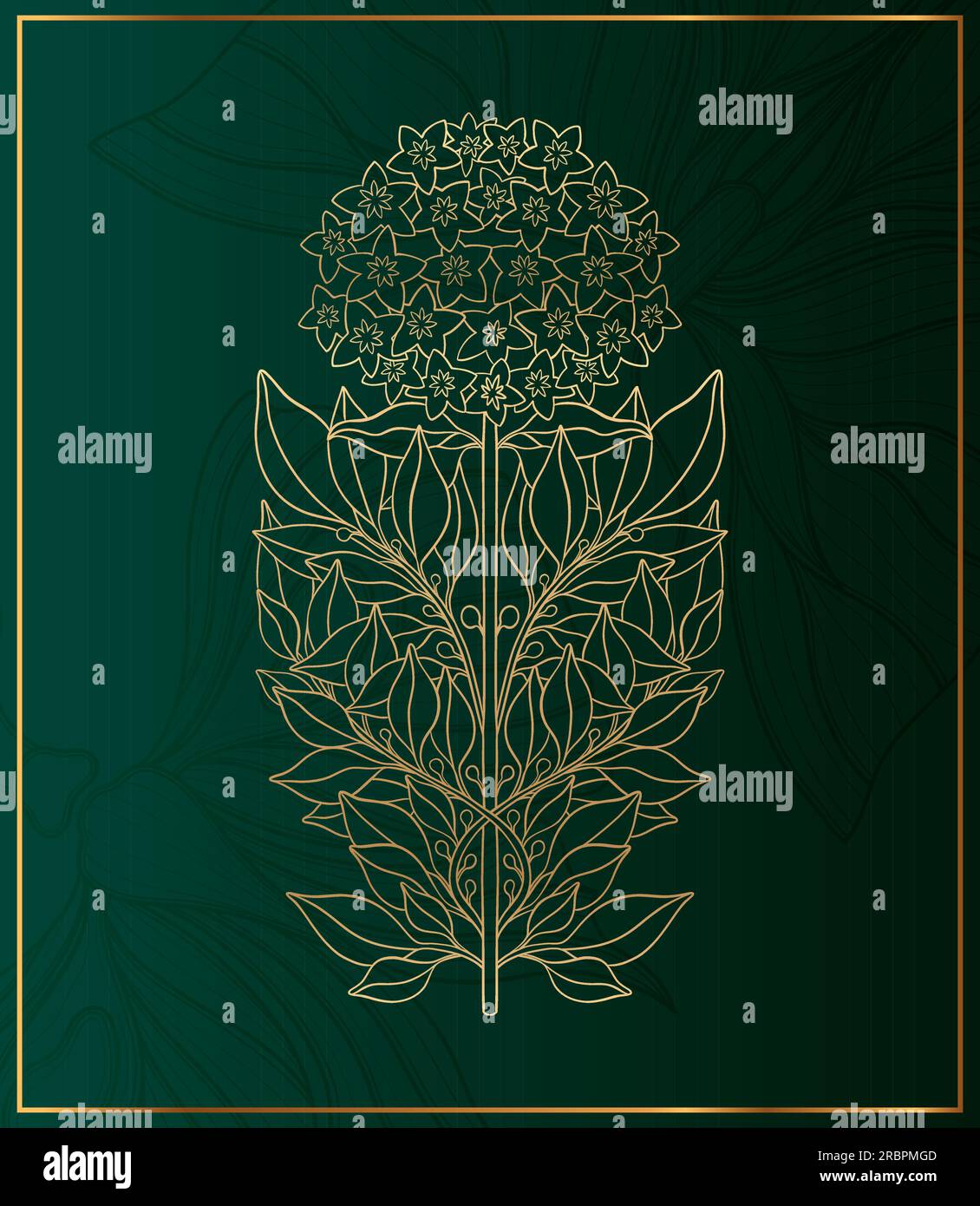 Green leaves flowers laurel Stock Vector Images - Alamy