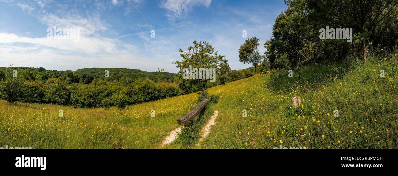 Environmentally important open space landscape in the Surrey Hills Area ...