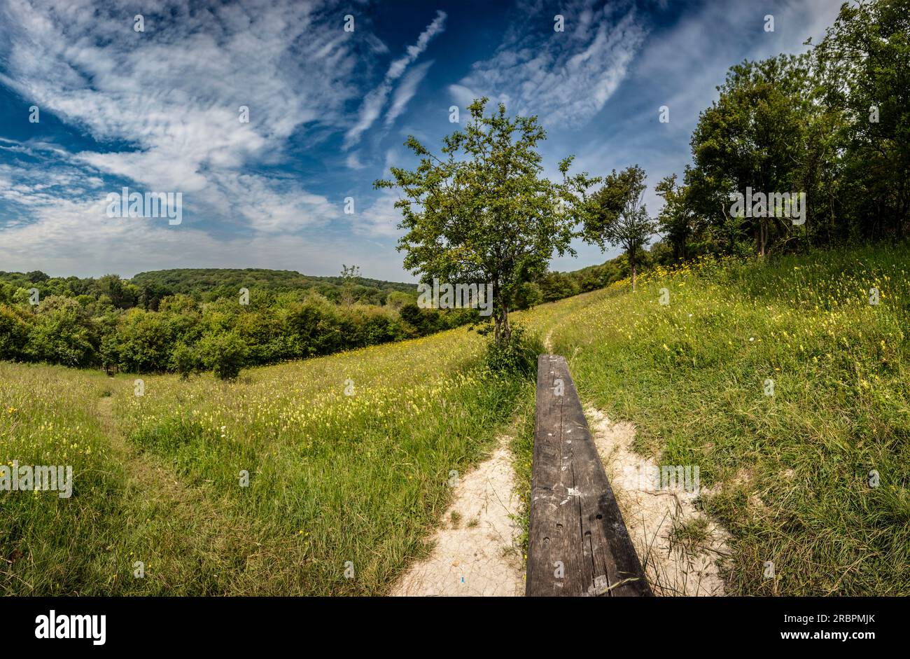 Environmentally important open space landscape in the Surrey Hills Area ...