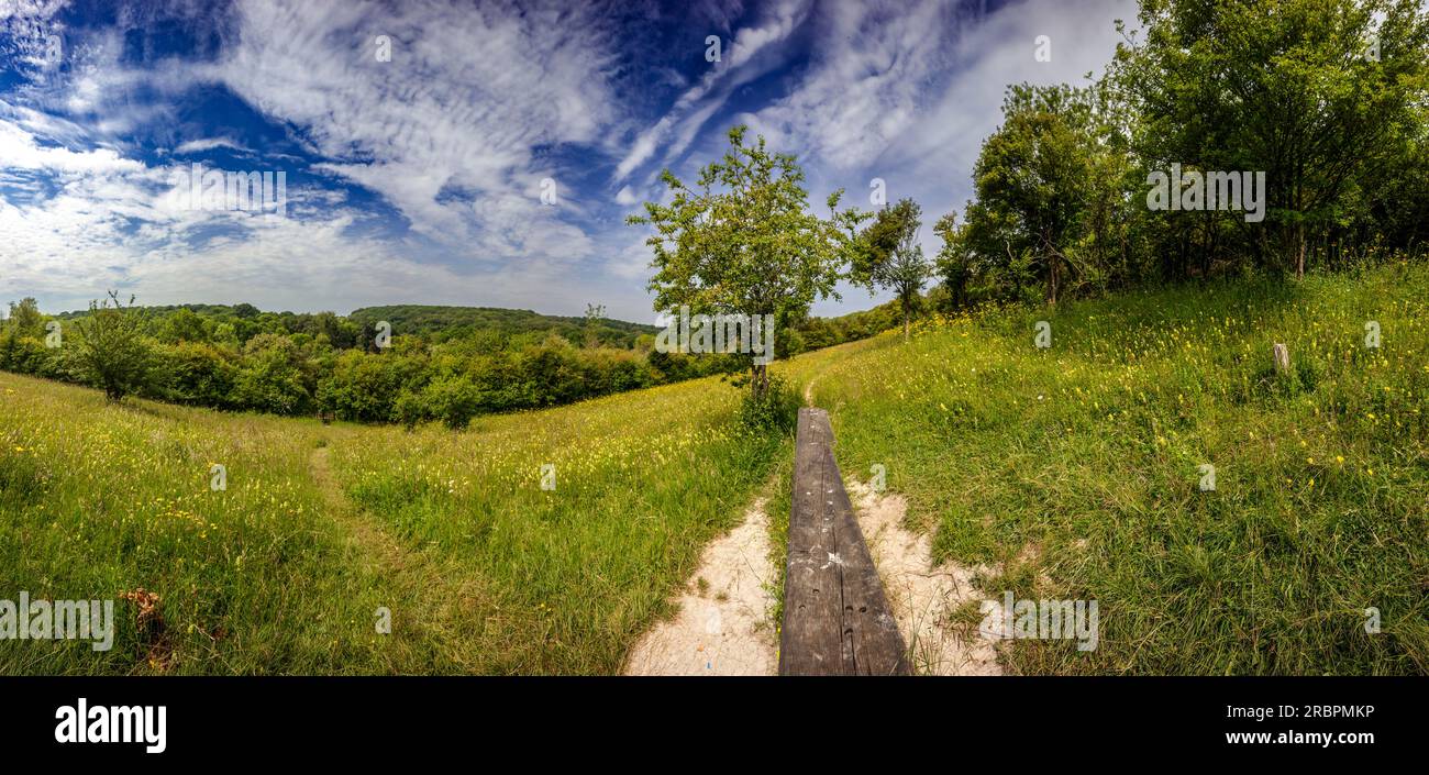 Environmentally important open space landscape in the Surrey Hills Area ...