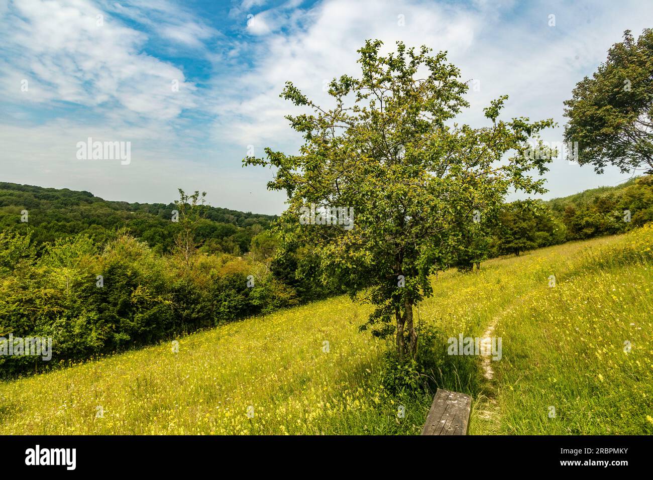 Environmentally important open space landscape in the Surrey Hills Area ...