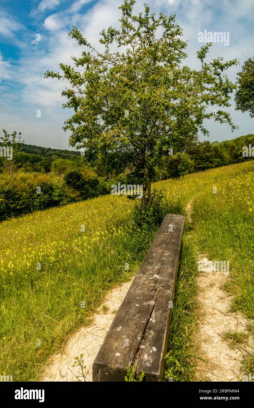 Environmentally important open space landscape in the Surrey Hills Area ...