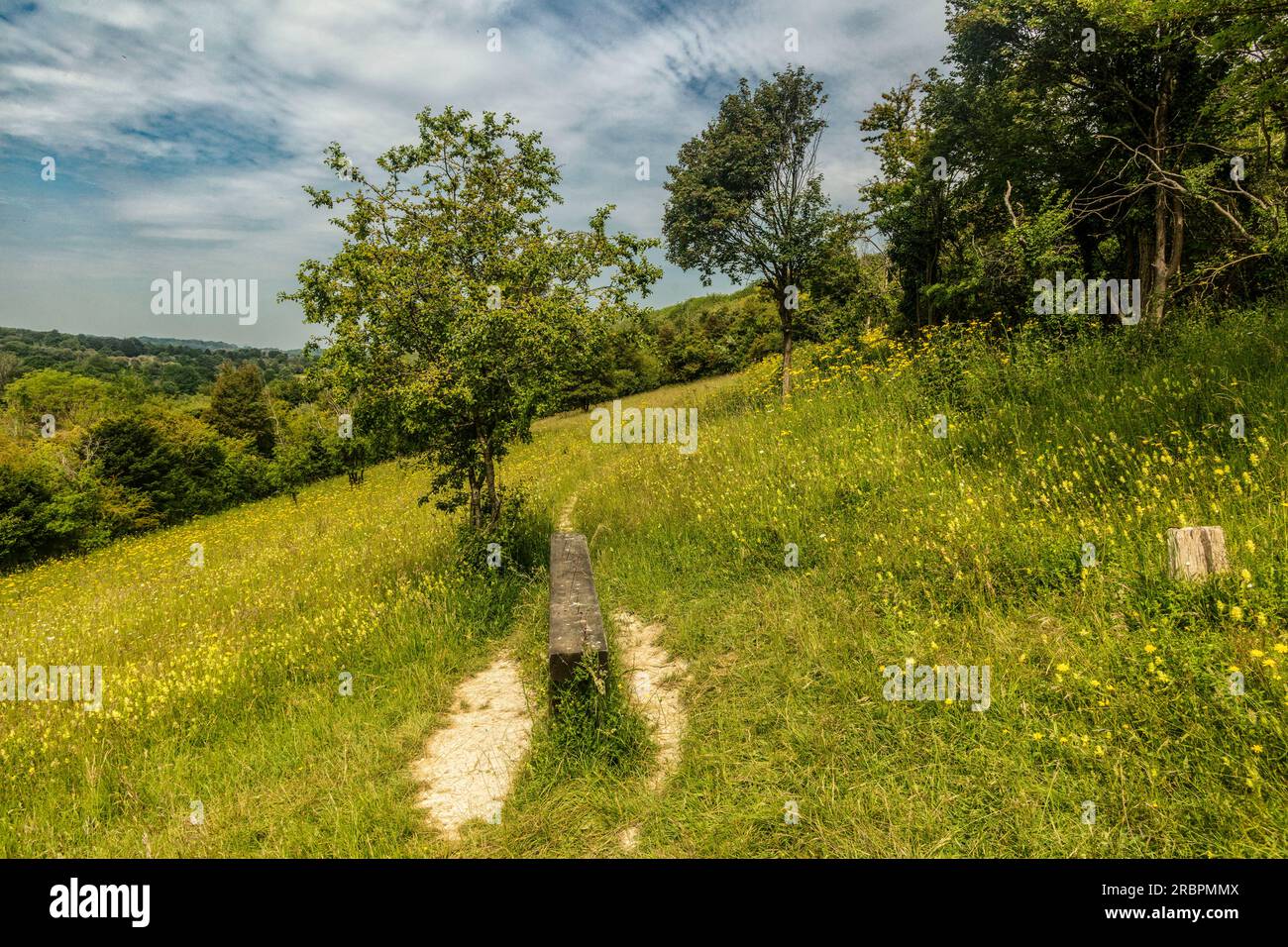 Environmentally important open space landscape in the Surrey Hills Area ...