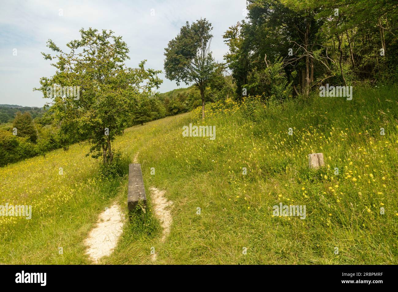 Environmentally important open space landscape in the Surrey Hills Area ...