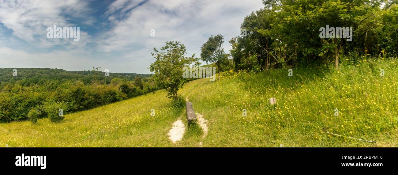 Environmentally important open space landscape in the Surrey Hills Area ...