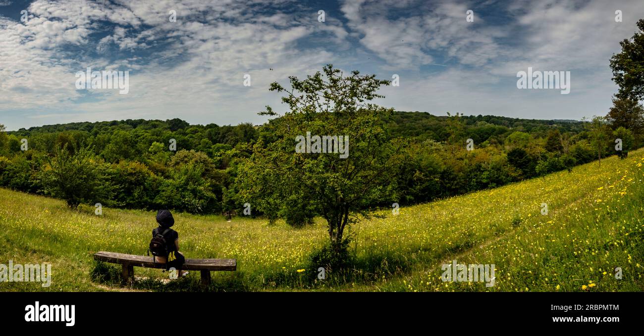 Environmentally important open space landscape in the Surrey Hills Area ...