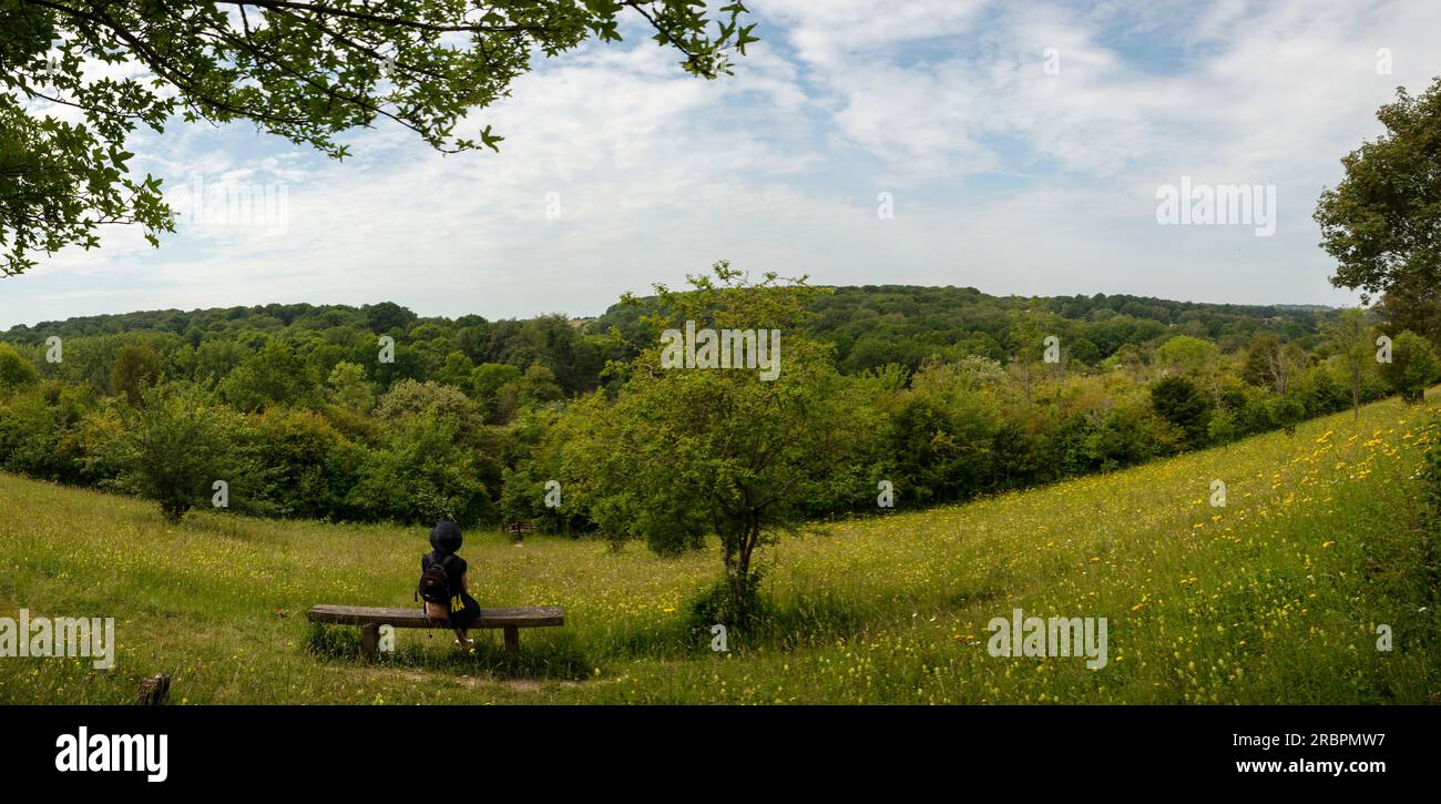 Environmentally important open space landscape in the Surrey Hills Area ...