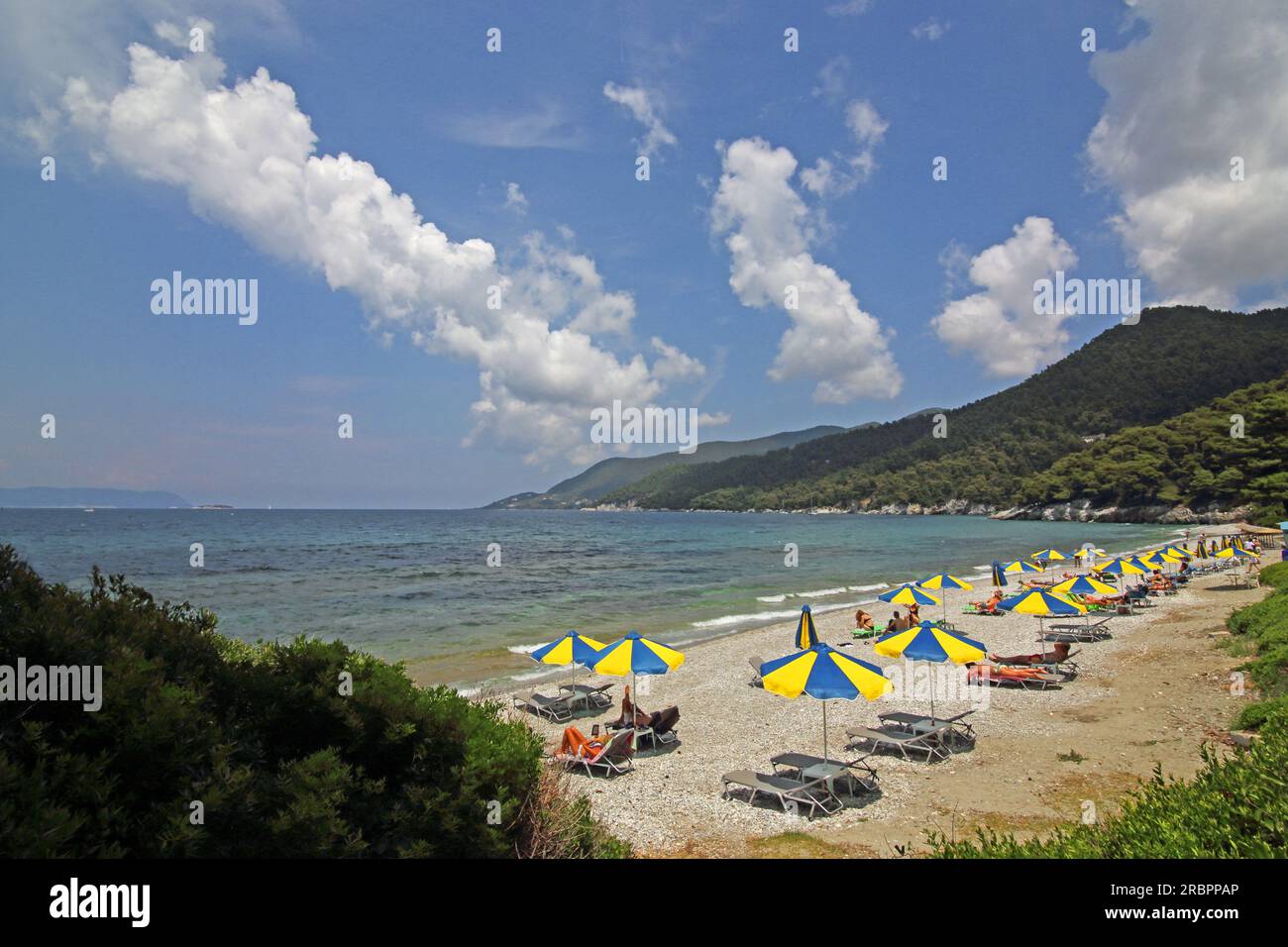 Milia beach on the south coast of Skopelos island, Northern Sporades ...