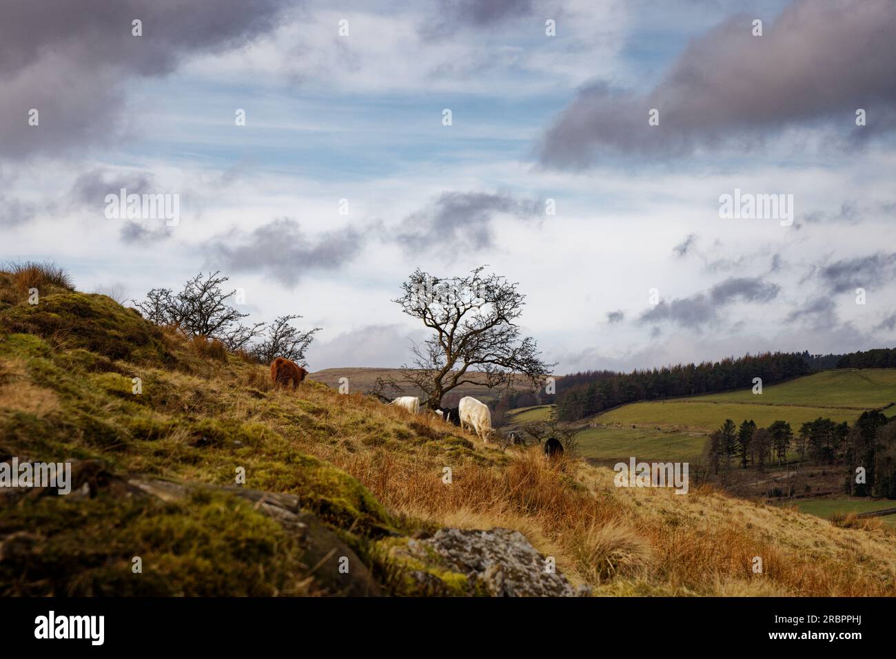 Haslingden hi-res stock photography and images - Alamy