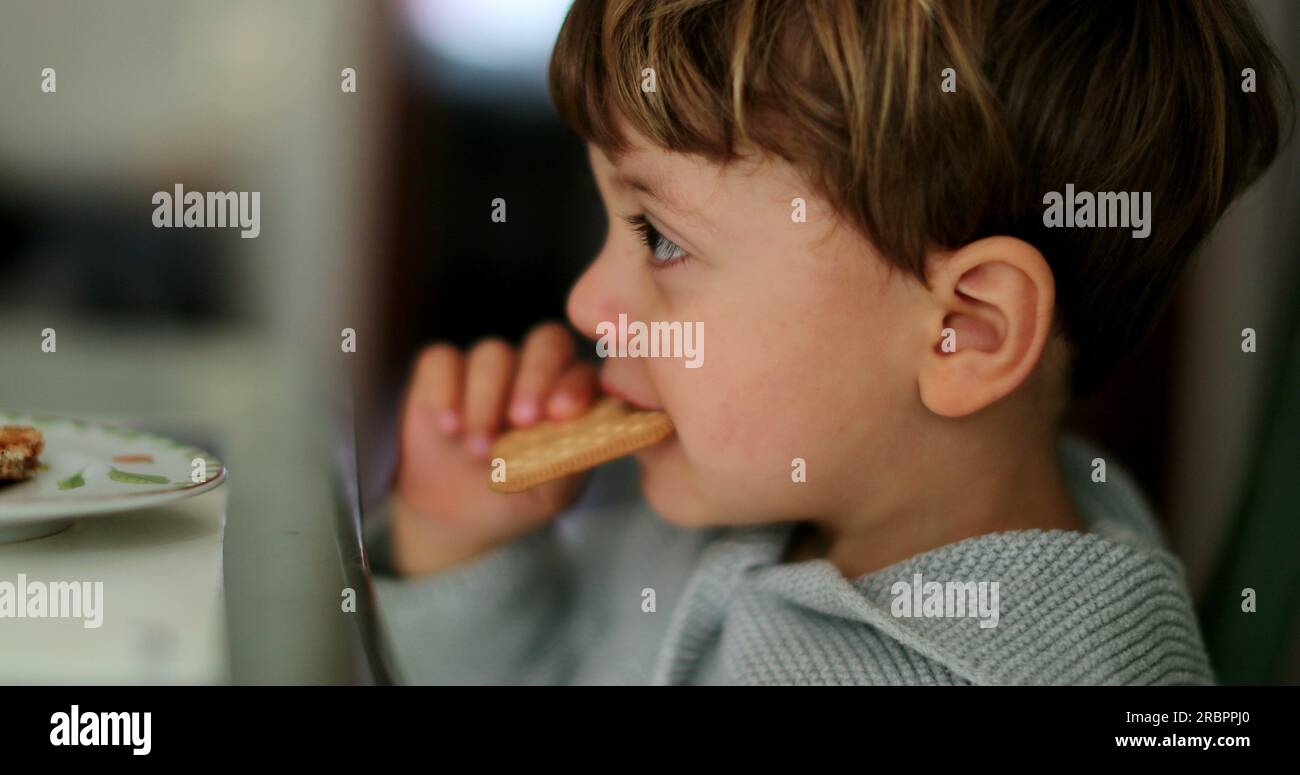 Child eating cookie little boy takes a bite of sweet snack Stock Photo ...