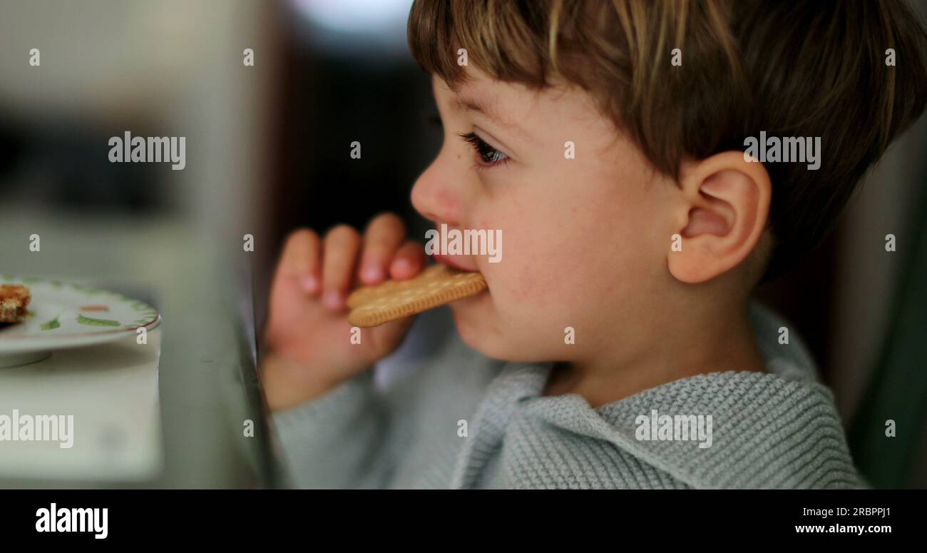 Child eating cookie little boy takes a bite of sweet snack Stock Photo ...