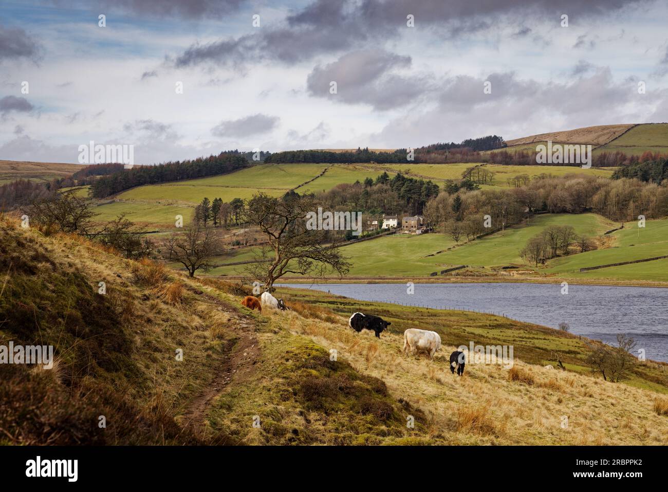 Grane valley hi-res stock photography and images - Alamy