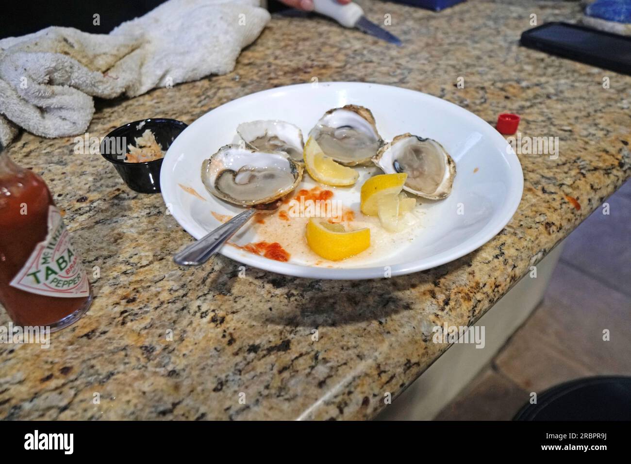 A plate of Raw Oysters on the half-shell Stock Photo - Alamy