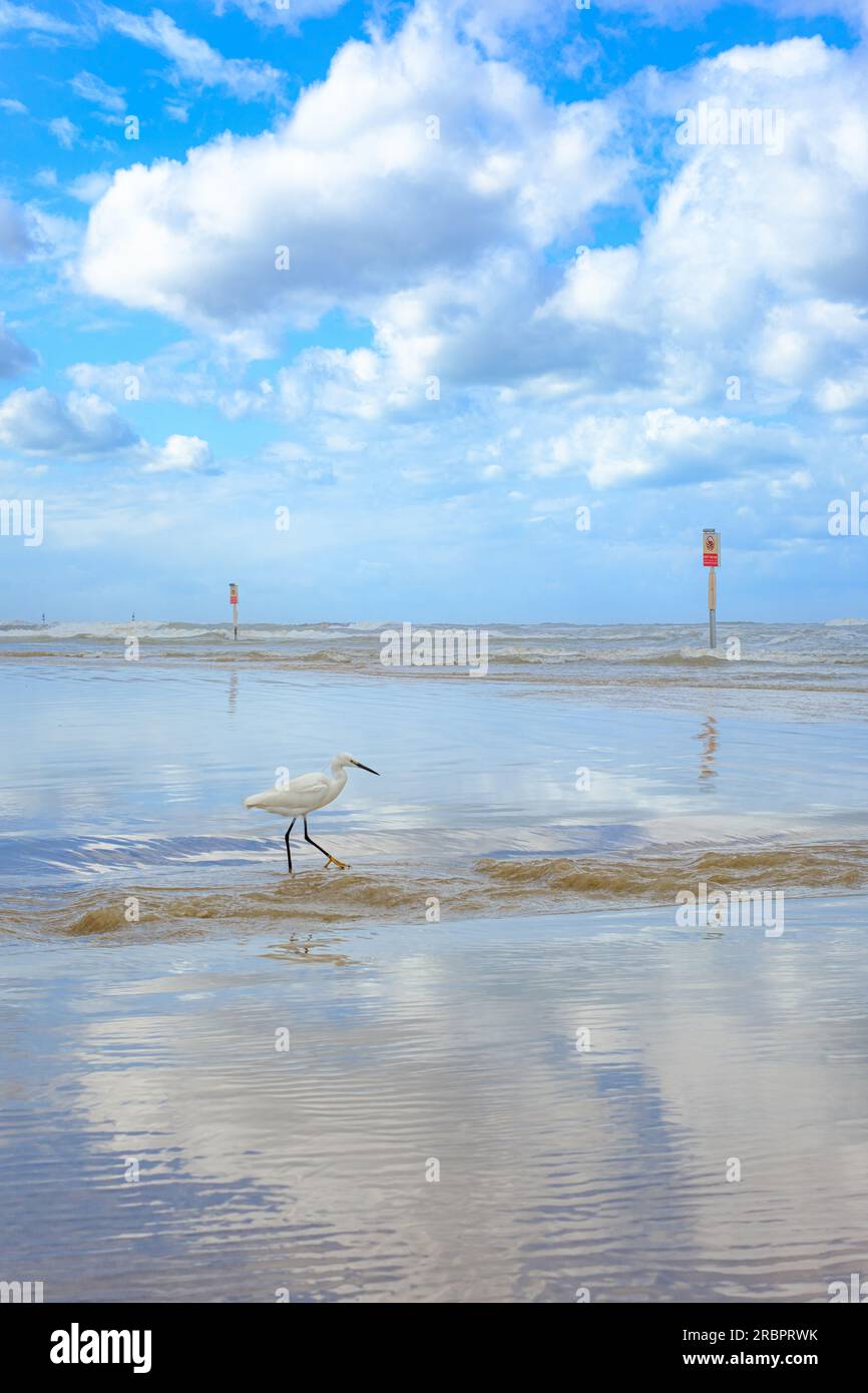 Israel tel aviv jerusalem beach hi-res stock photography and images - Alamy