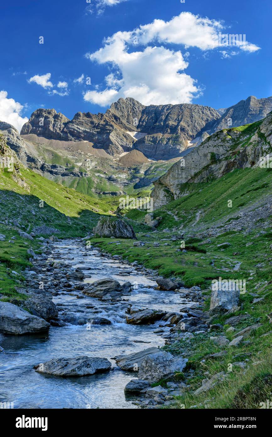 Mountain stream flowing through the valley of the Cirque d'39; Estaube ...