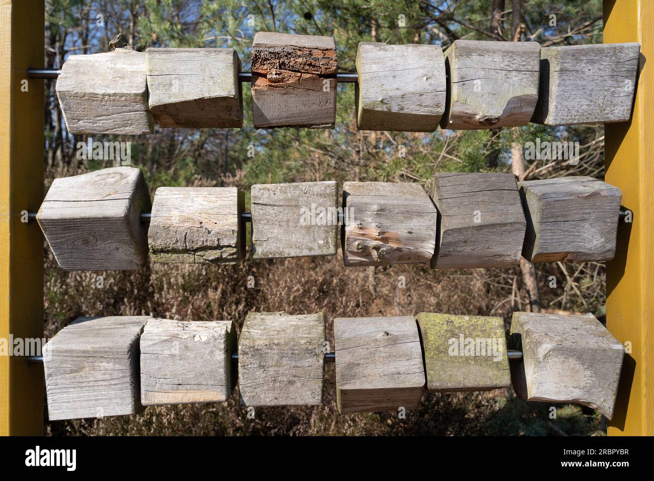 Wooden display with wooden blocks in the forest Stock Photo - Alamy