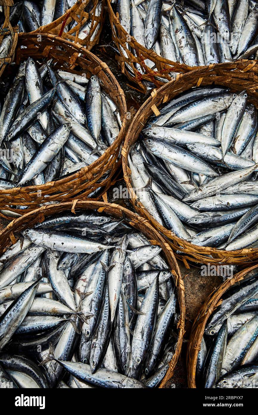 Baskets of fish at a seaside village in Karangasem Bali Indonesia Stock ...