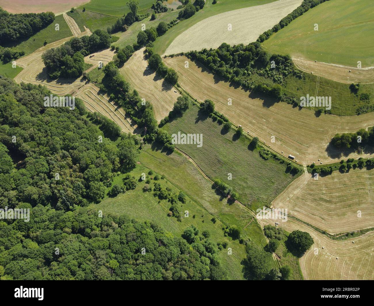 Flying above green field hay hi-res stock photography and images - Alamy
