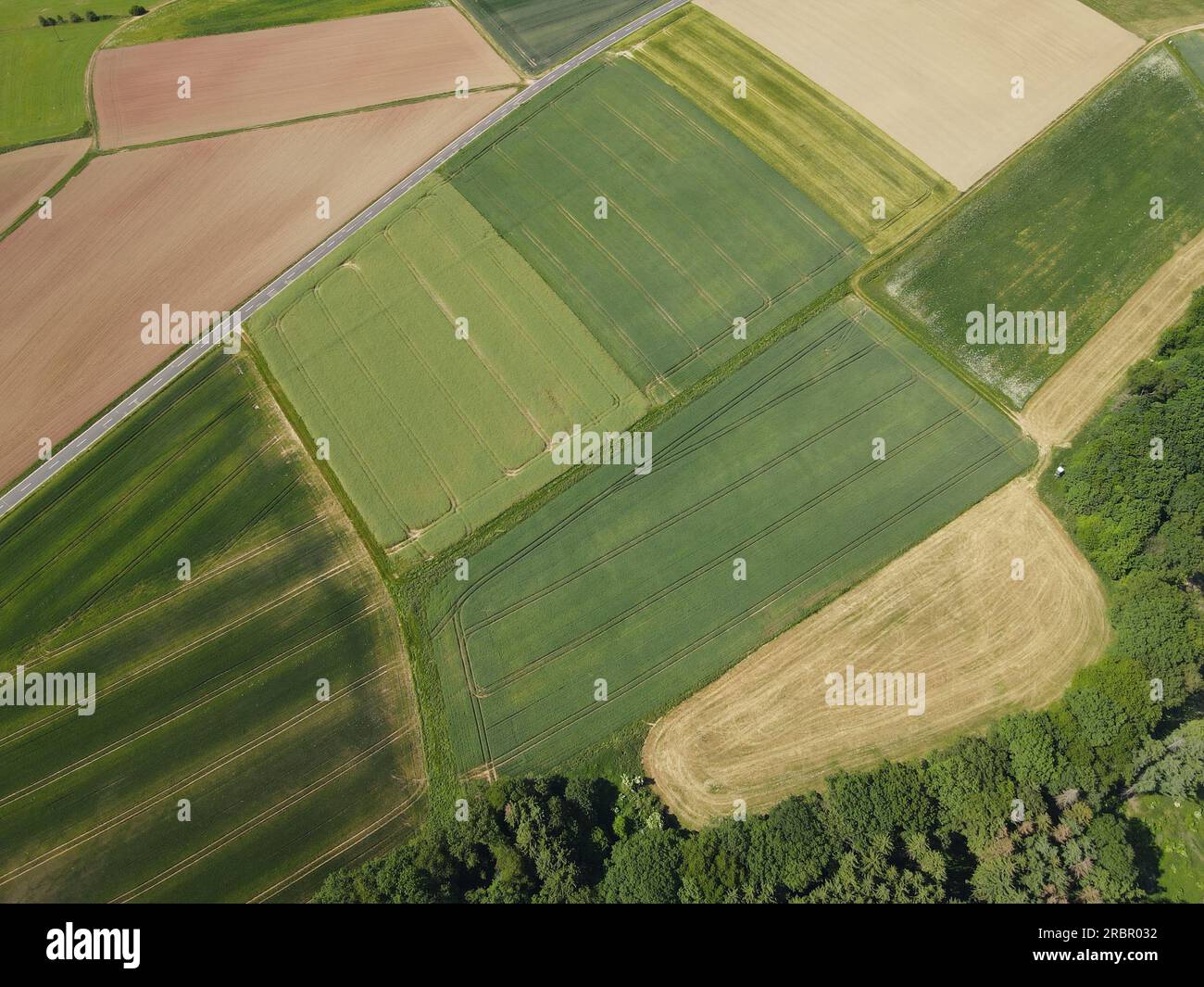 Drone view of green growth crop fields and plowed arable fields with ...